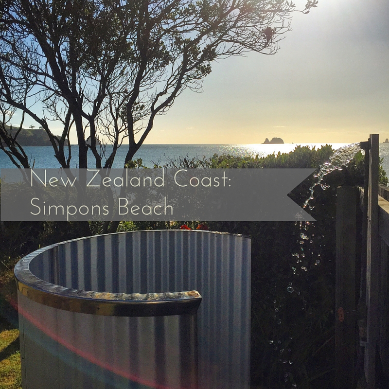 New Zealand Coast: Simpsons Beach | WildlyTraveled